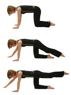 Pilates: Pilates Exercise- 4-Point Kneeling and also Swimming