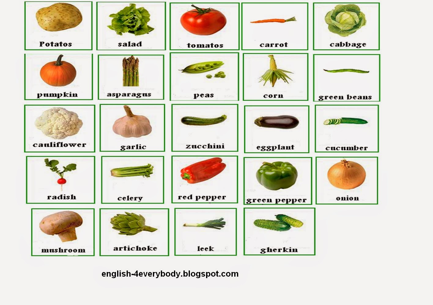 English For Beginners