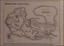 An Elephant a Day: Elephant No. 245: Salted Watercolour