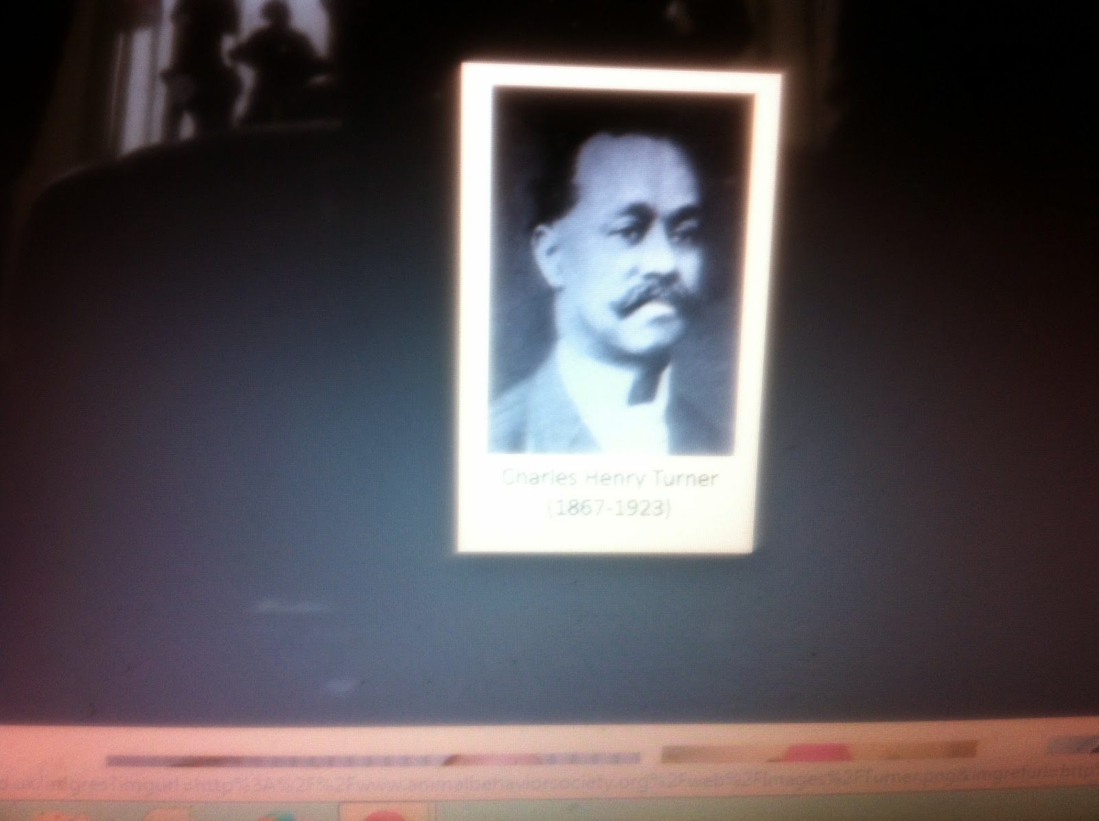 THE BLACK SOCIAL HISTORY:: BLACK SOCIAL HISTORY : AFRICAN AMERICAN ...