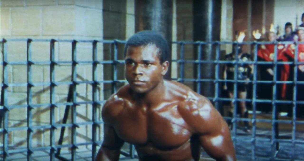 Worldwide Bodybuilders: Muscle King from France Serge Nubret