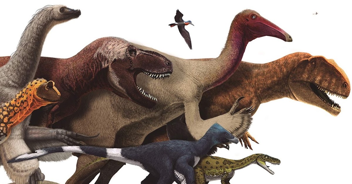 THE BIRDBOOKER REPORT: New Title