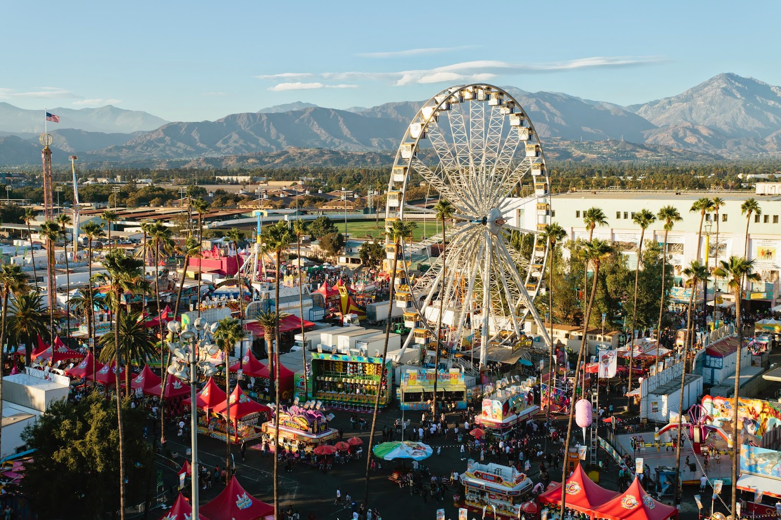 Luminasia and the LA County Fair 2014