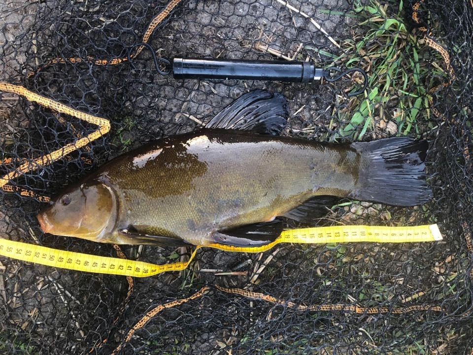 Fiskeligan: Mer lång sutare!