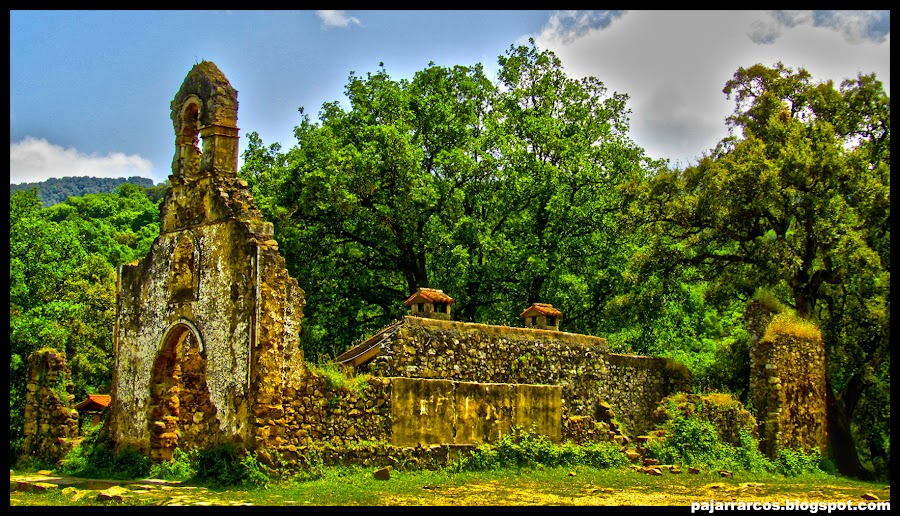 PajarrArcos: La Sauceda