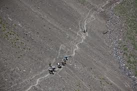 Wild Life and National Parks in Pakistan: Broghil Valley National Park