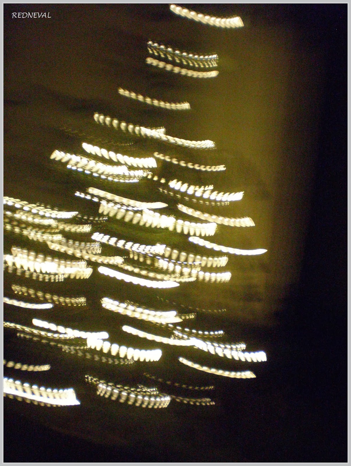 REDNEVAL: **** symbol zimy
