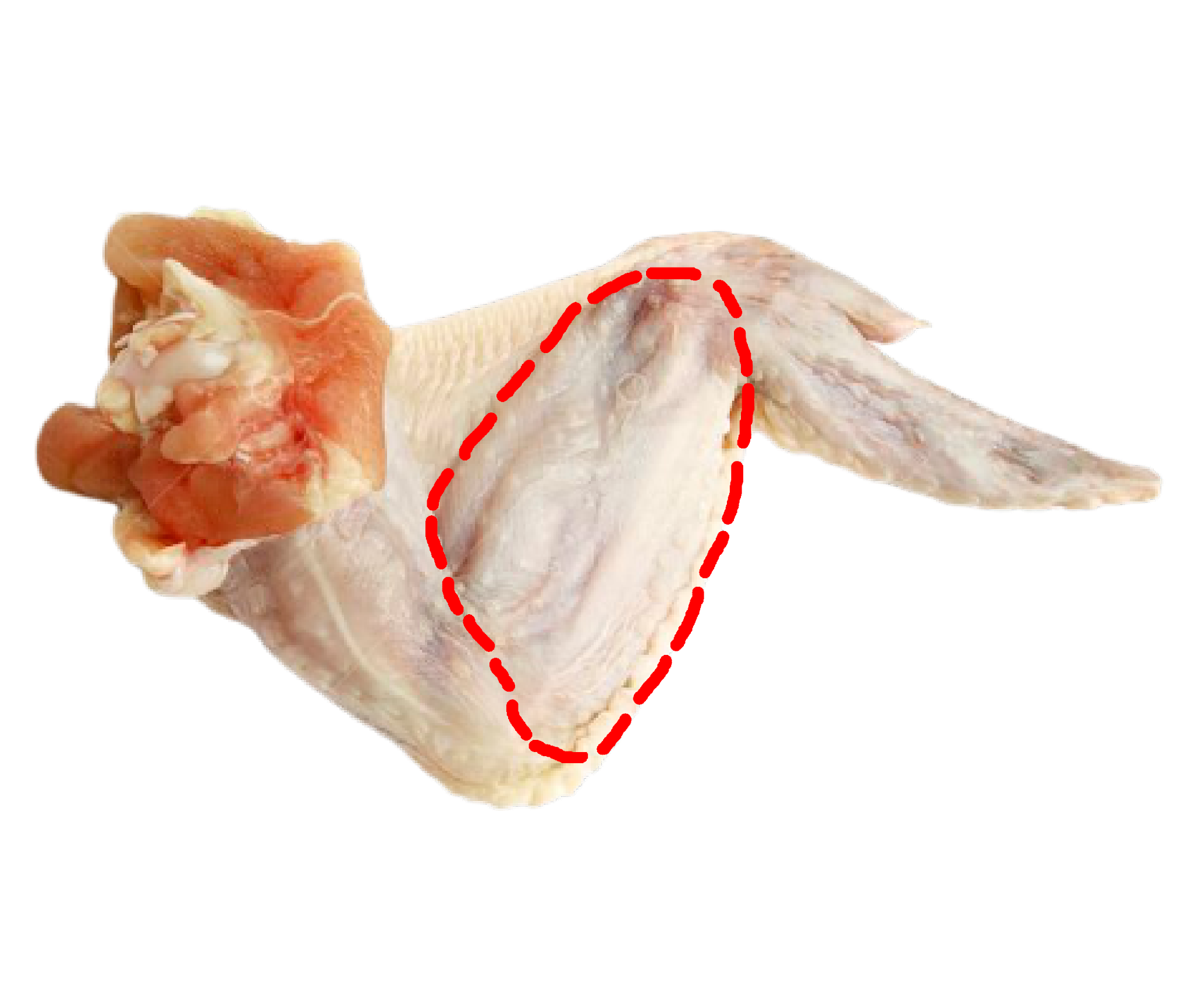 An Anatomical Guide to Poultry Wings- Wing Tips, Wingettes + Drumettes ...