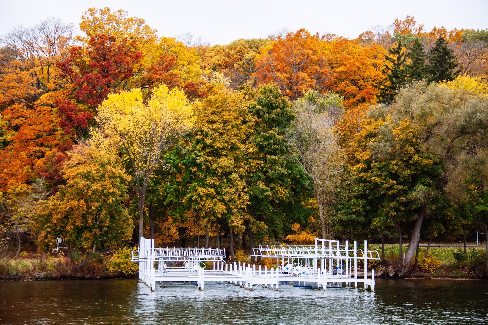 autumn in lake geneva | wherever she may roam