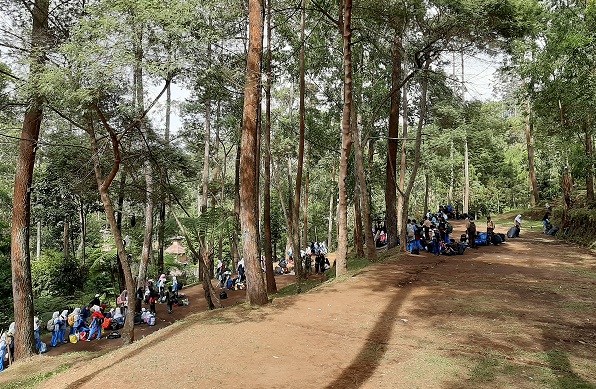 Tempat Camping Favorit 2020 di Bandung, Cocok Untuk Kegiatan Sekolah ...