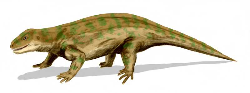 Escenarios prehistóricos: Diadectes