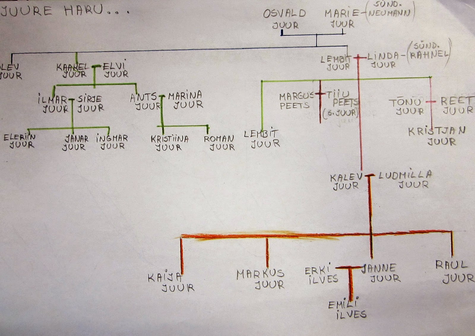 KOOLIJÜTSID: Meie sugupuud
