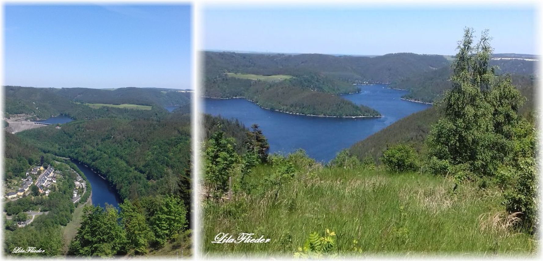 Lila-Flieder-Garten: Hohenwarte-Stausee in Thüringen