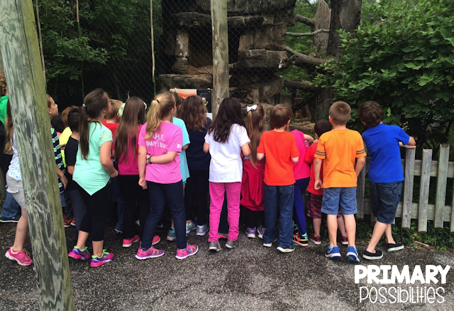 Primary Possibilities: Tips for Looping with Your Class