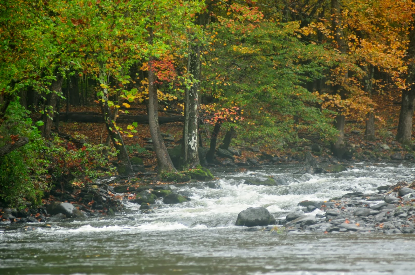 Jennifer Stiles Photography: Fall Rafting Down the Delaware River