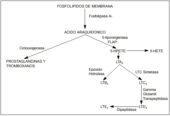 Doença de Crohn: novas perspectivas: Leucotrienos e lipoxinas