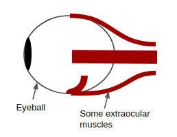 N Recursions: The Real Cure for Eye Strain