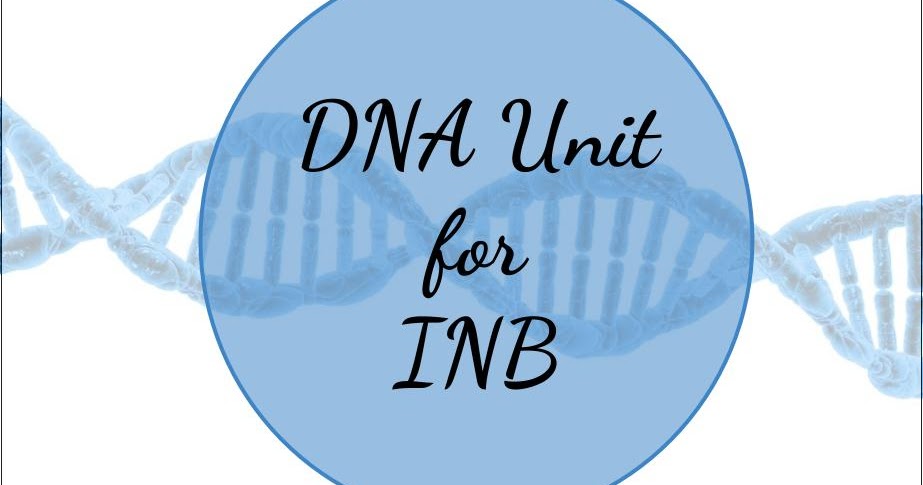 I Teach Science and...: Start of DNA Unit for INB