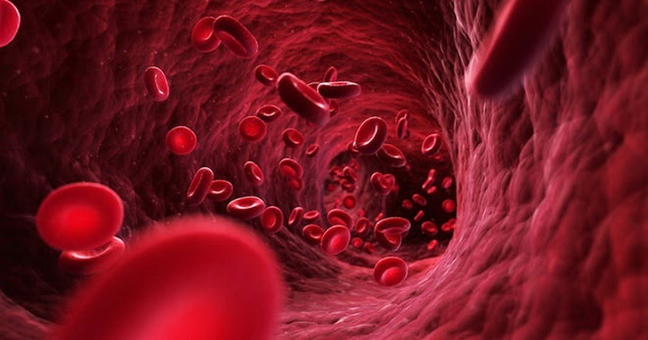 Apa Fungsi Darah bagi Tubuh Manusia? | Belajar Sampai Mati