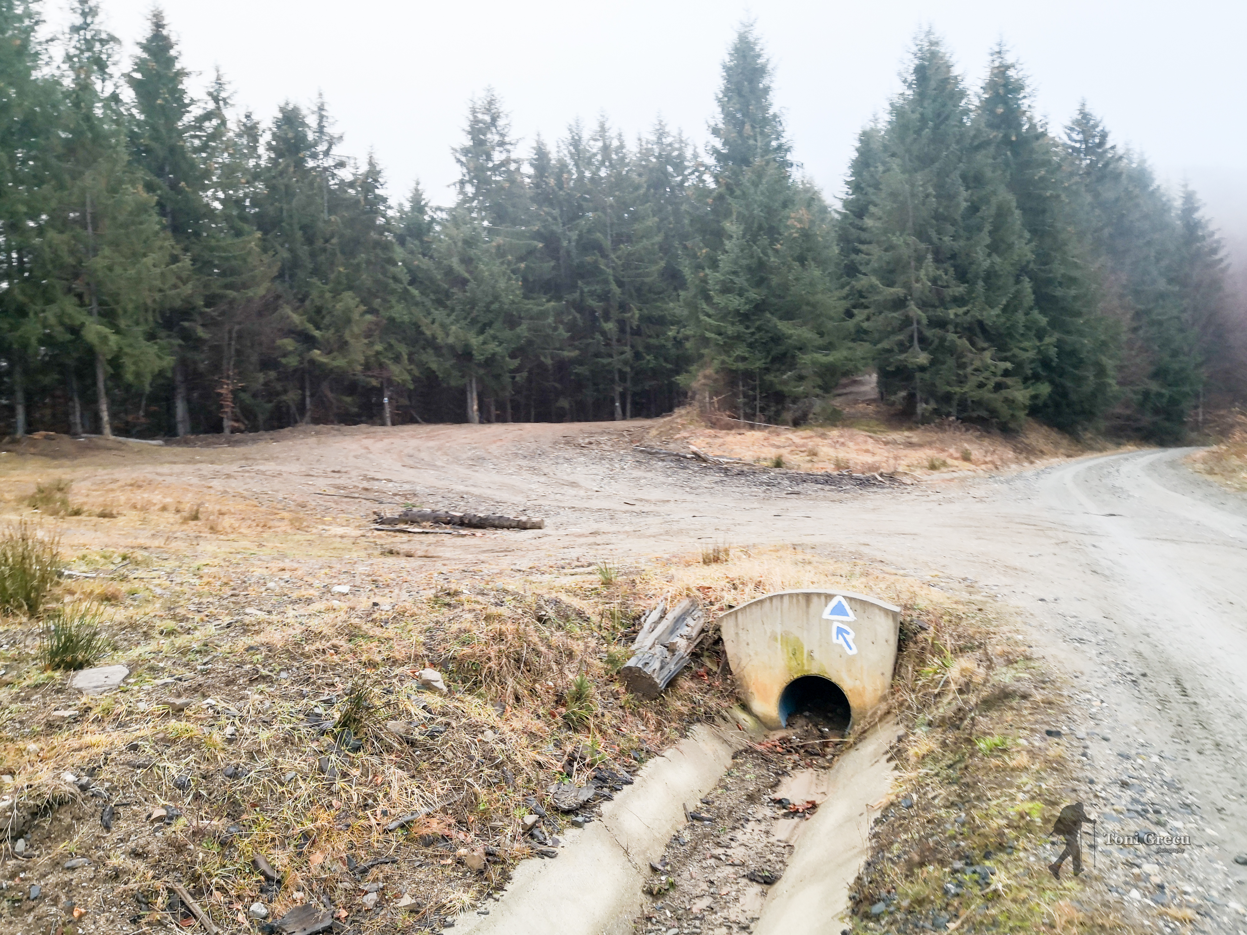 Varful Prejba - Cabana Prejba. Muntii Lotrului ~ Jurnal de drumeții