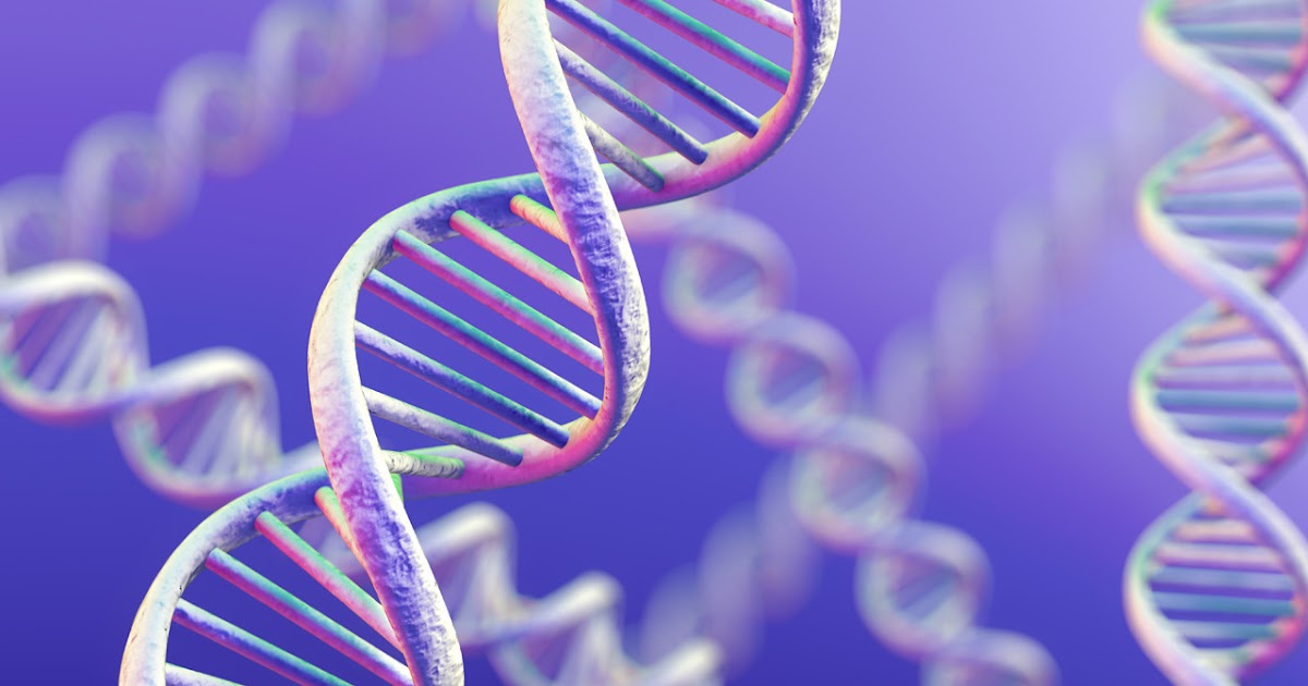 Reflexões Sobre o Invisível ®: Cientistas revelam: DNA possui funções ...