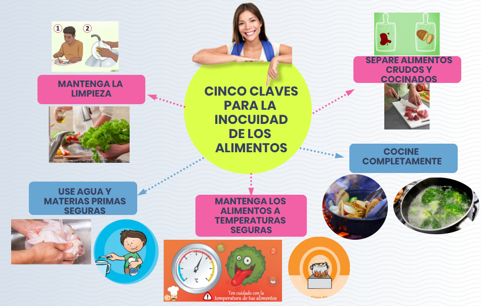 La importancia de la inocuidad en la salud