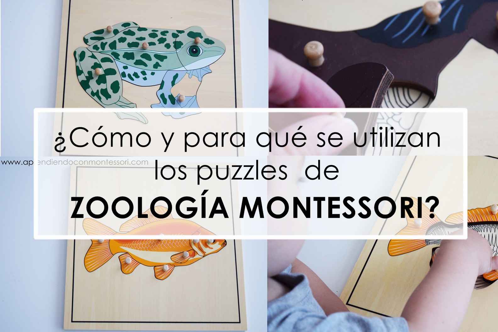 ¿Cómo y para qué se utilizan los puzzles de zoología Montessori ...