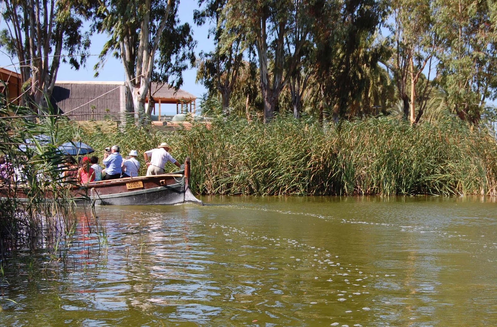 LUGARES Y RINCONES DE EUROPA.: PASEO POR EL LAGO DE LA ALBUFERA Y ...