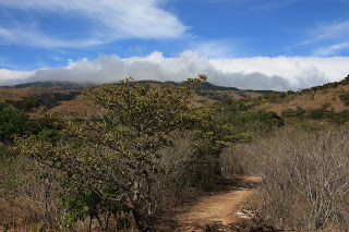 6A: Tropical Dry Forest