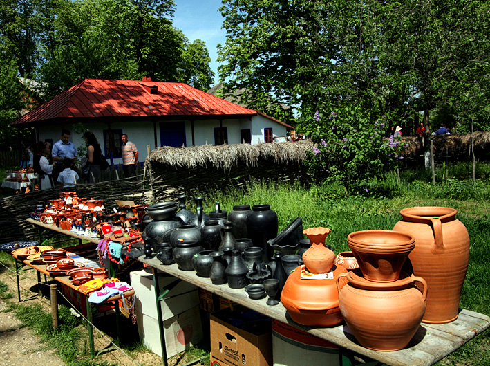 Photographis: Floriile - PALM SUNDAY