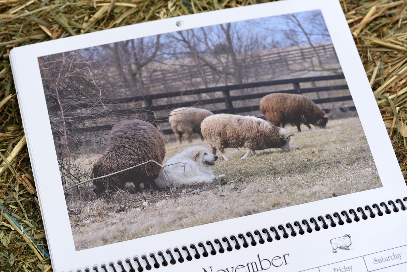 Punkin's Patch: The 2020 Calendars