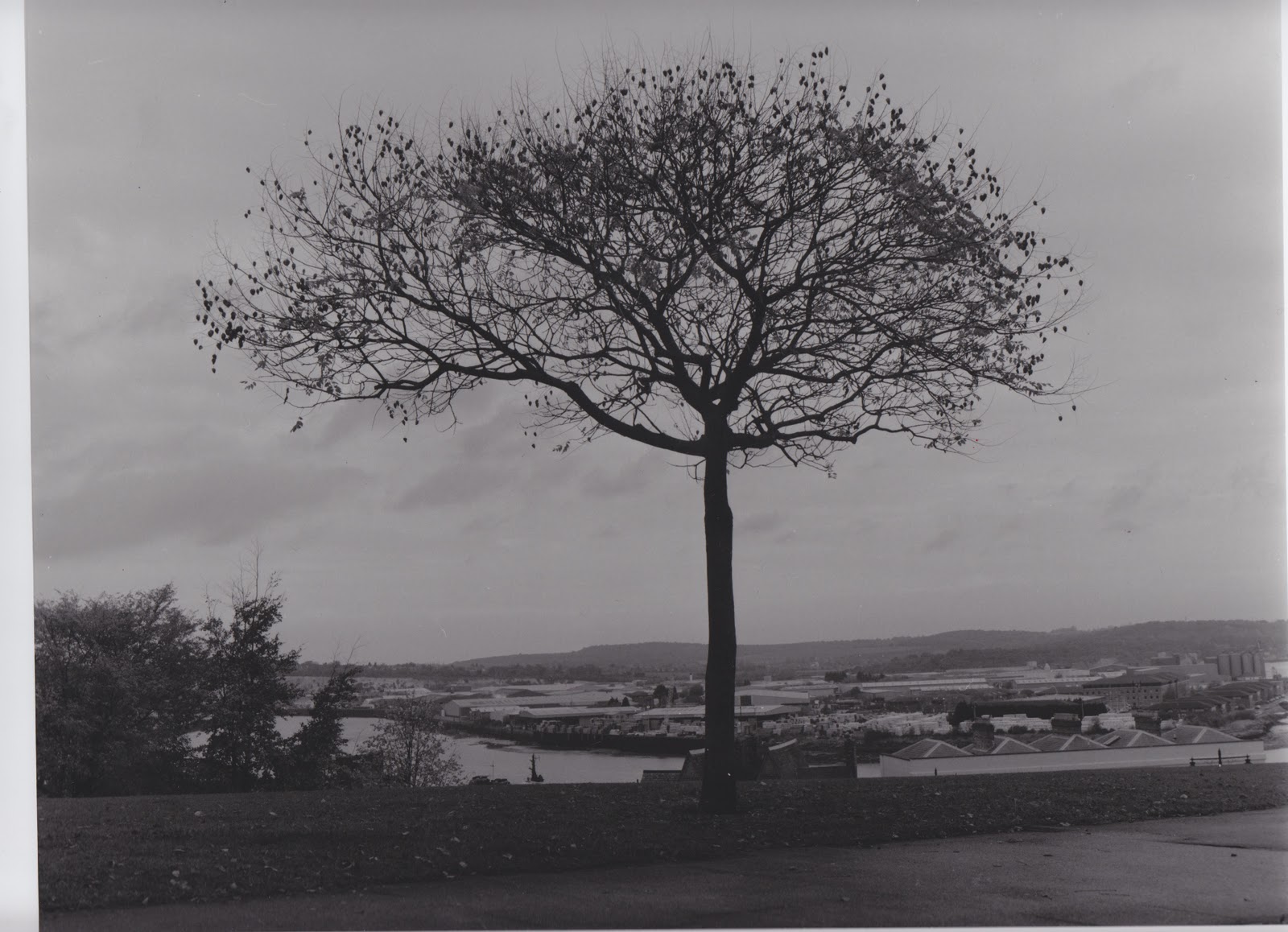 Marie Hanrahan Photography: Environment: Robert Adams