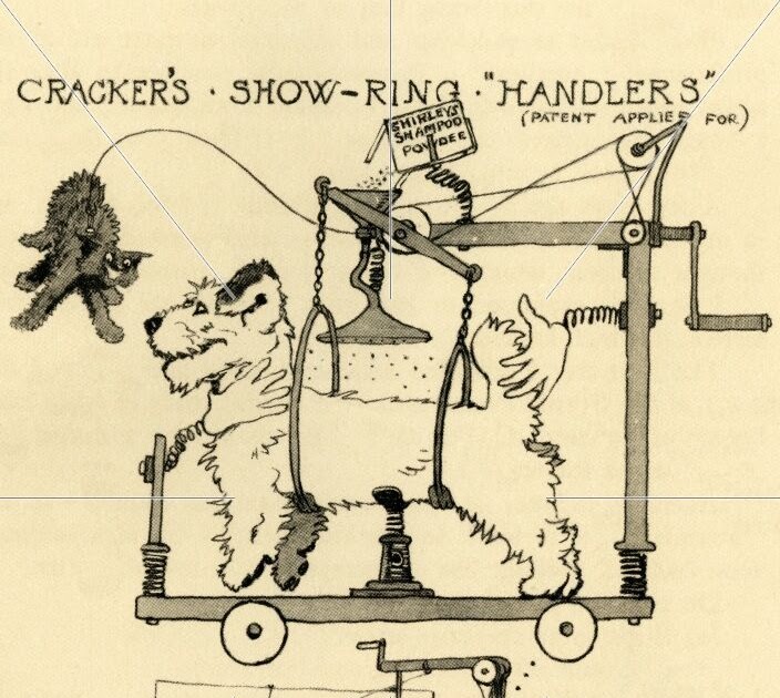 Terrierman's Daily Dose: Getting Rid of Professional Dog Show Handlers