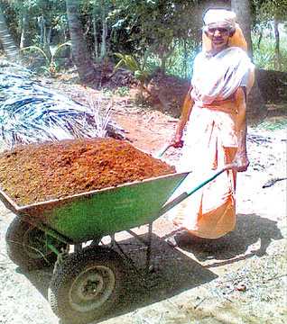 பொன்செய் நிலம்: புதிய ஊட்டமேற்றிய கம்போஸ்ட் தொழு உரம்