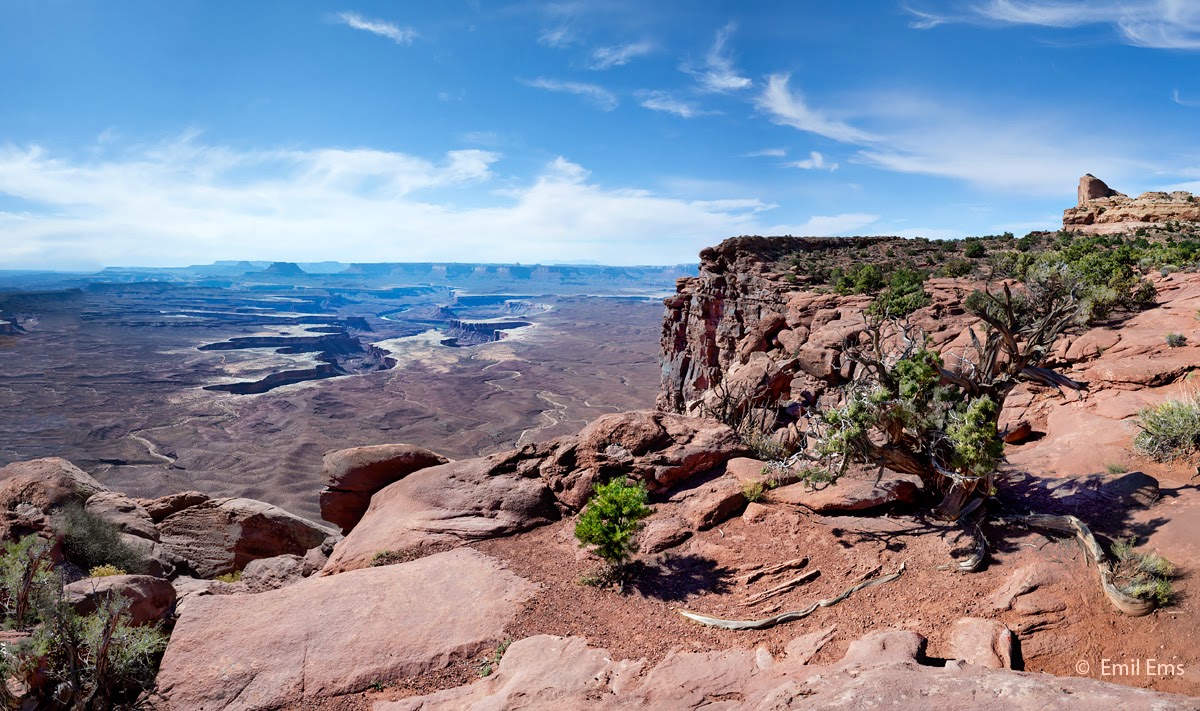 Déjà vu - down memory lane in California: DISC WORLD