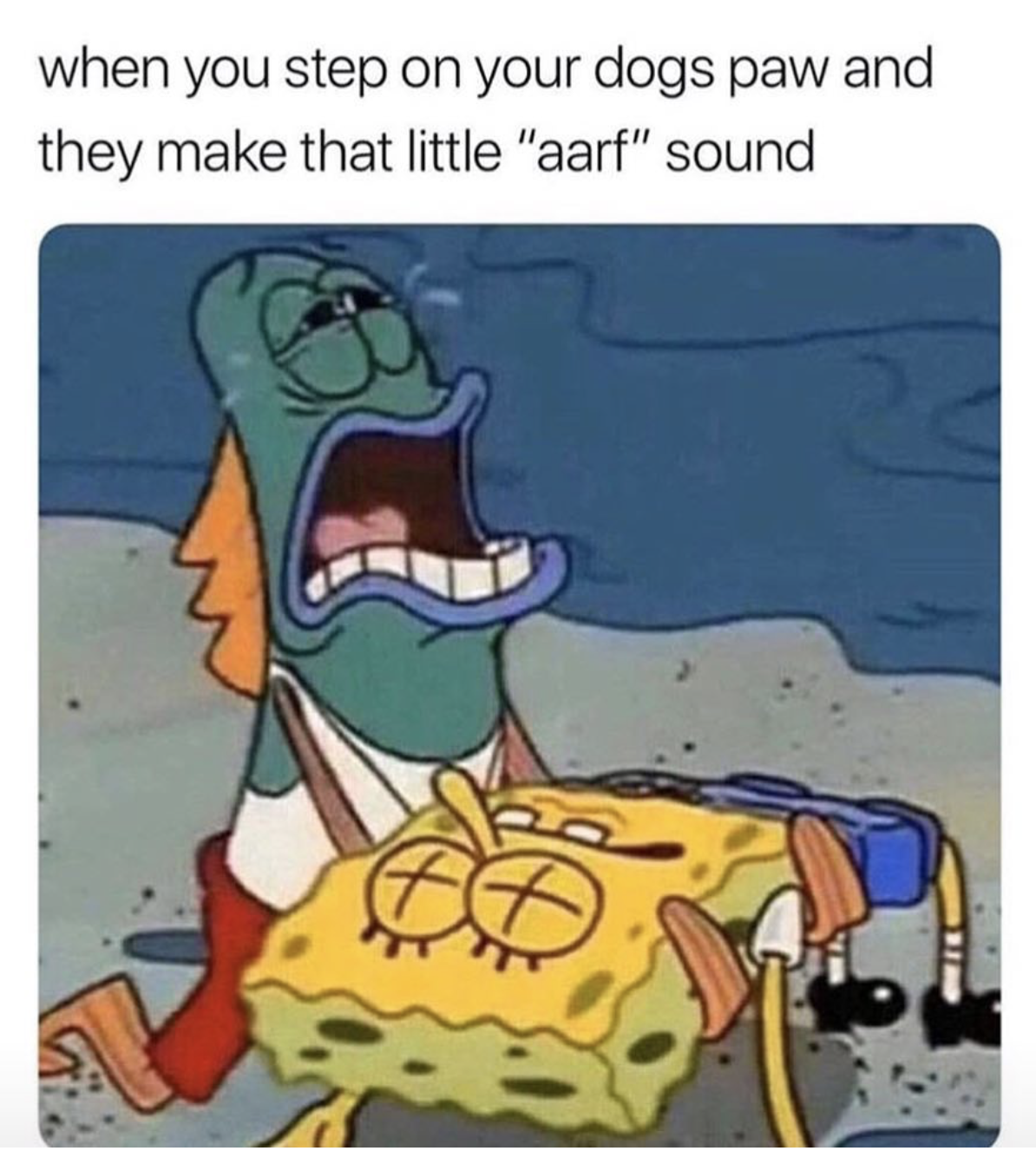 54 Random Memes Photos That Make You So Hilarious | 9GIG