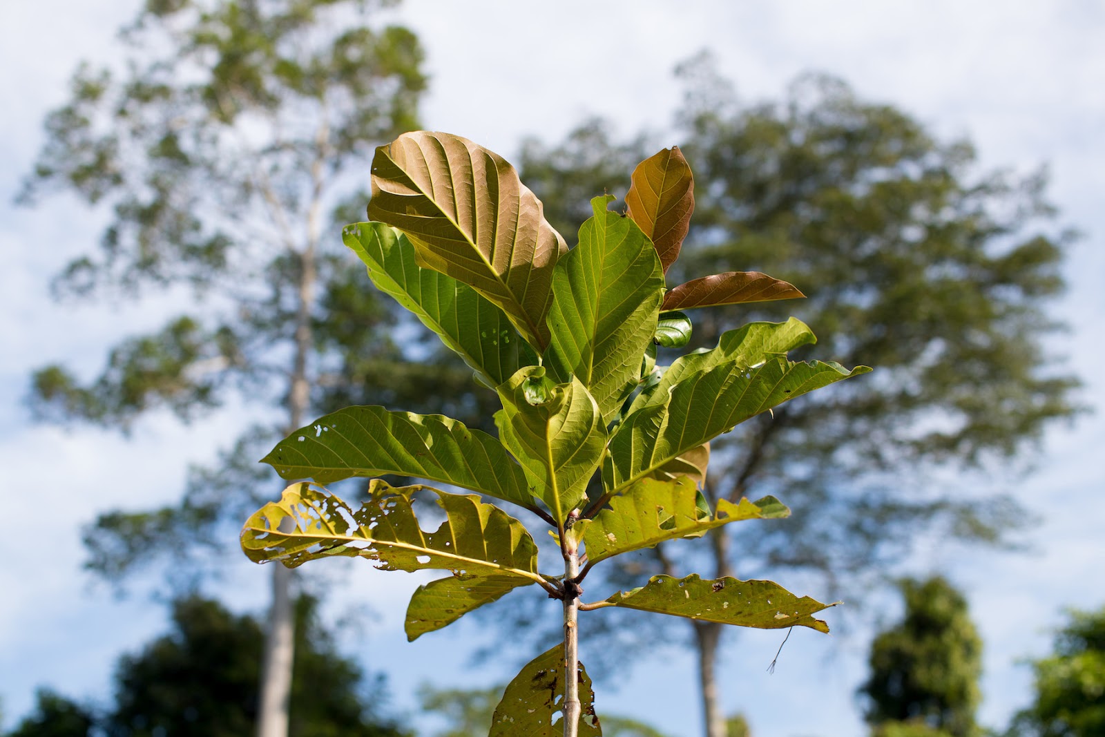 Where Hope Takes Root