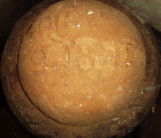 Living with Nature - School on Blog by Dr. Abercio V. Rotor: San ...