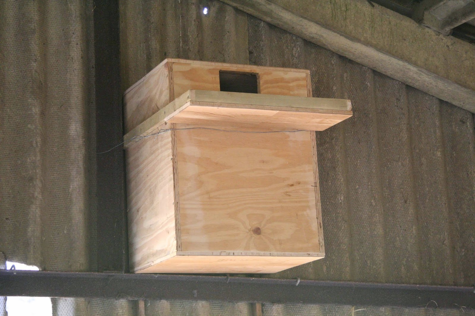 Bisham Barn Owl Group: Owl boxes for Hughenden Park