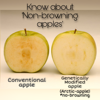 Food is our Common Ground