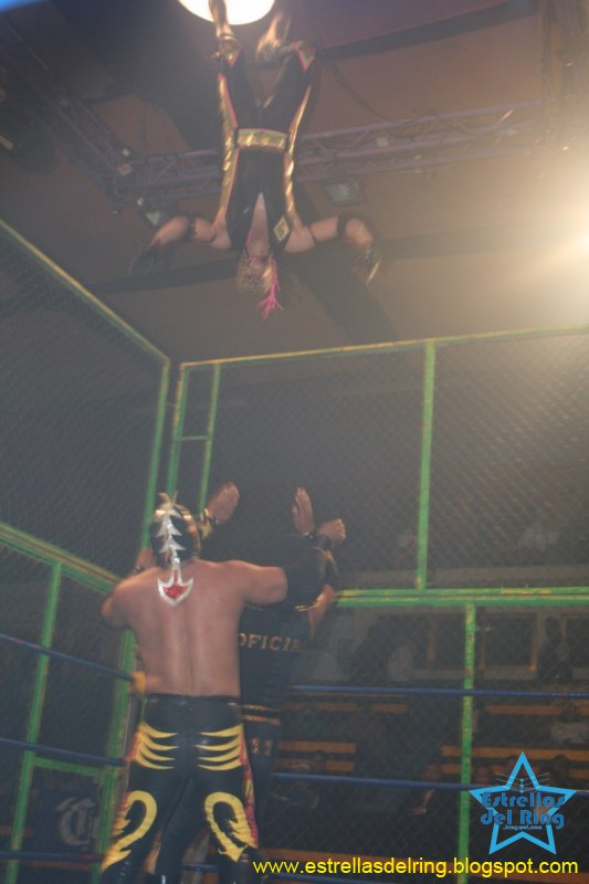 ESTRELLAS DEL RING.: Golden Magic triunfador en el "Castillo del Terror ...