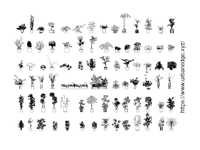 Potted Plant Plan Cad Block - all about hobby
