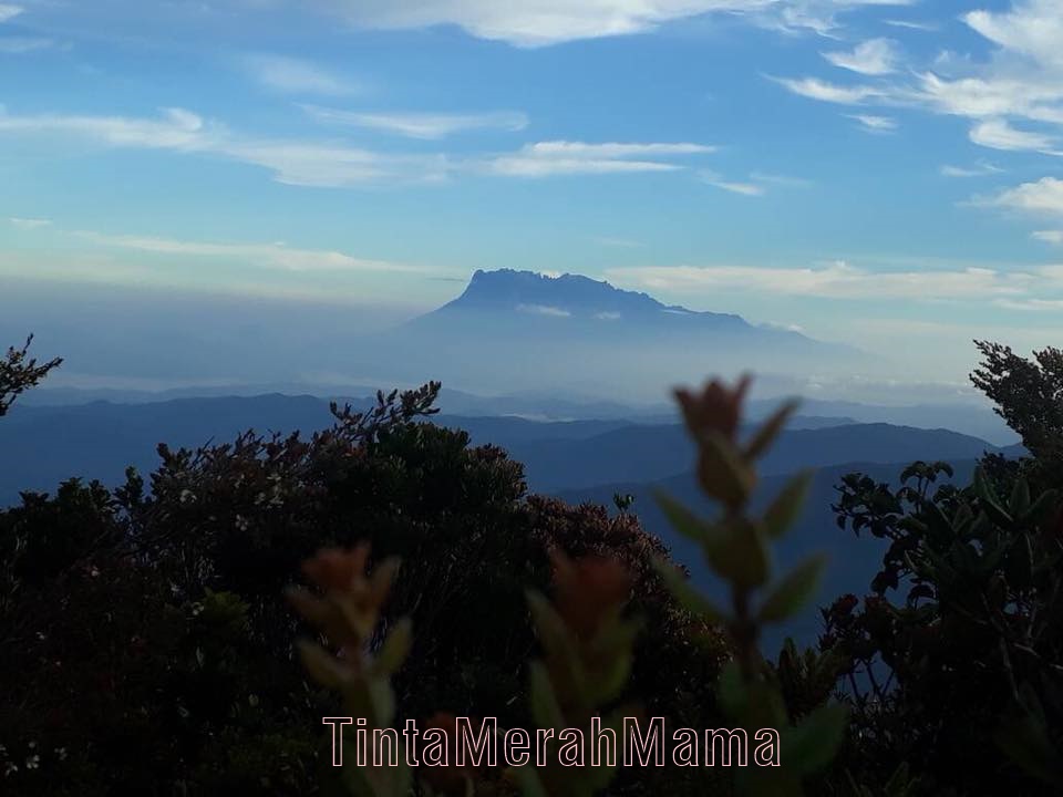 tintamerahmama: Gunung Trusmadi via Apin-apin
