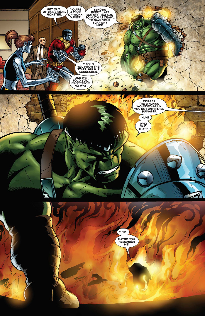 The Peerless Power of Comics!: Battle Of The Bruisers: The Hulk vs. The ...