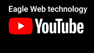 EAGLE WEB COMPANY PRESENTATION