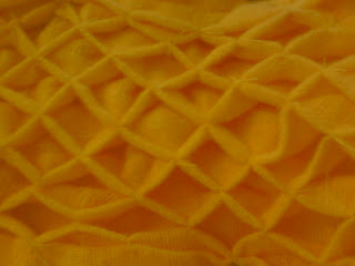 If I could take pictures with my eyes...: Finished diamond smocking sample
