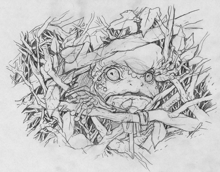 David Petersen's Blog: Wind in the Willows: Toad in Hiding Illustration ...