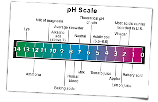 Chemistry Blog: Explaining pH: pH in a nutshell!