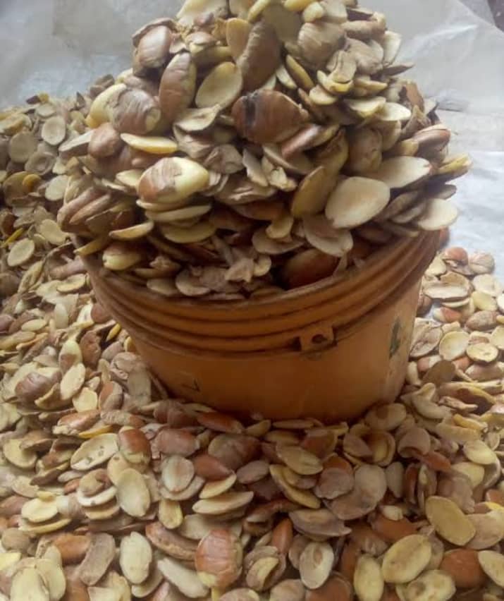 Buy Neat Ogbono at Cheaper Rate From Enugu State