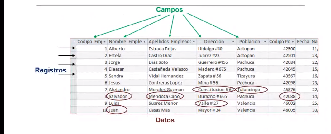 Diseño y gestión de sistemas: ELEMENTOS BASICOS DE UNA BASE DE DATOS